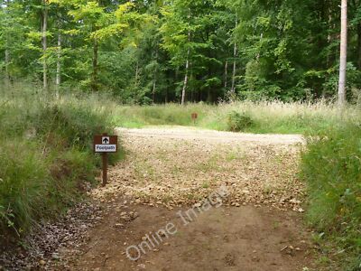 Photo 6x4 In Guiting Wood [2] Kineton/SP0926 Another well-defined track ...