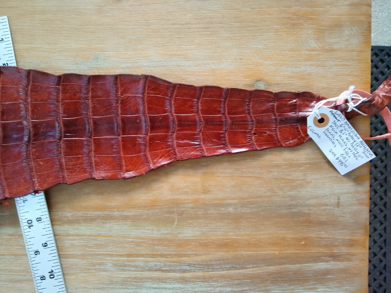 Genuine Wild American Alligator gator Hide Skin Pelt swamp leather Pnt ...