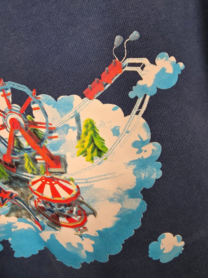 Childish Theme Park Hoodie Mens Medium Blue White Graphic Print ...