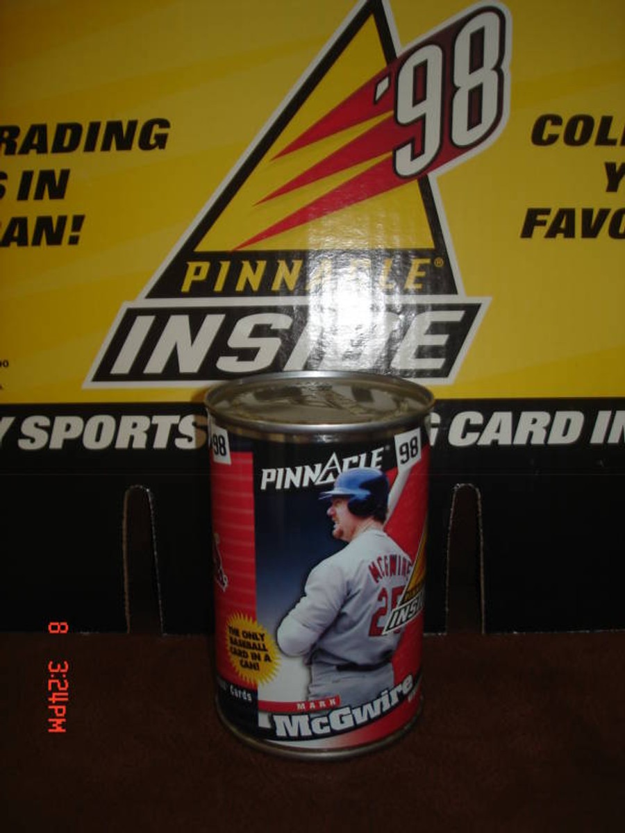 Stephanie Slemer Mcgwire Biography