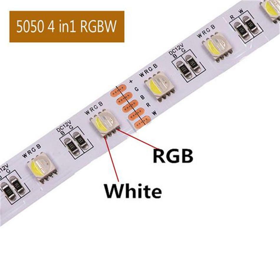 5m 5050 RGB LED Strip light RGBW RGB CCT White 5in1 4in1 chip 12V 24V ...