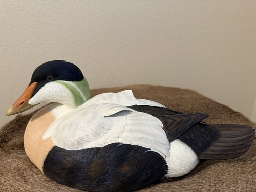Ducks Unlimited Common Eider Drake Full Size Decoy by Jett Brunet NIB ...
