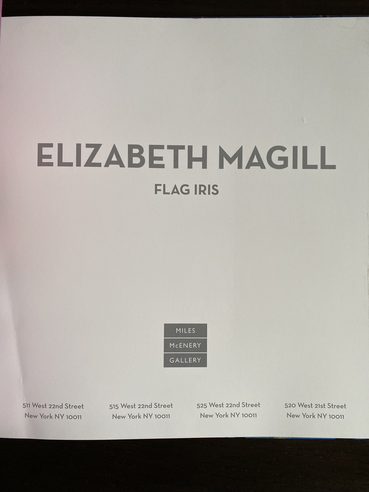 Elizabeth Magill - Flag Iris - 2022 - Hardcover | eBay