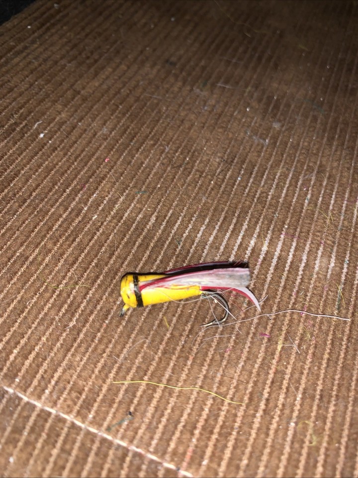 Vintage Pecks Fly Fishing Lure Exe Unfished | eBay