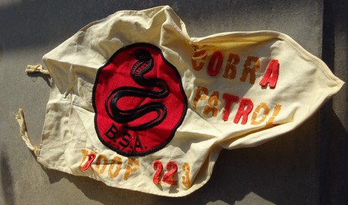 Rare Vintage Boy Scouts Cobra Flag Pennant BSA | eBay