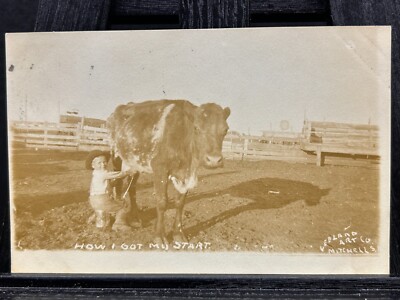Mitchell, South Dakota Boy Milking Cow Farm Real Photo Postcard SD RPPC ...