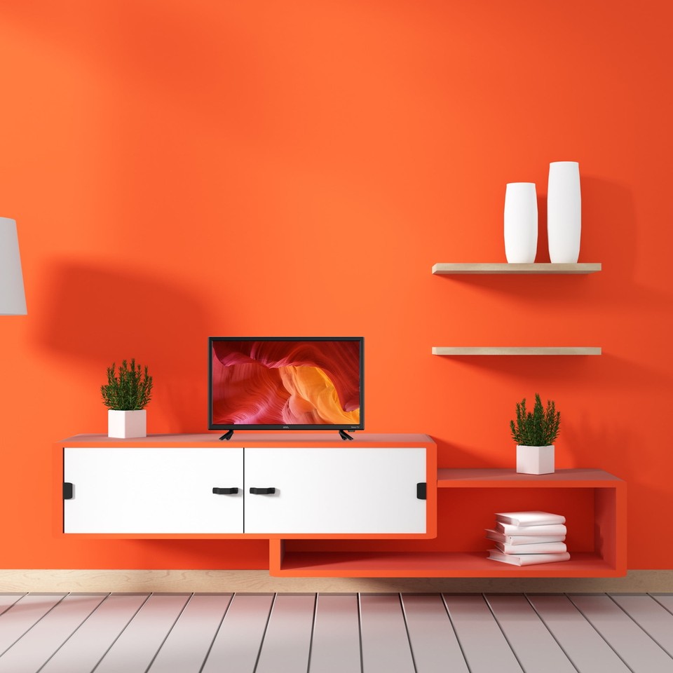 24 Inch Class HD 720P LED Roku Small Smart Television Includes Remote ...