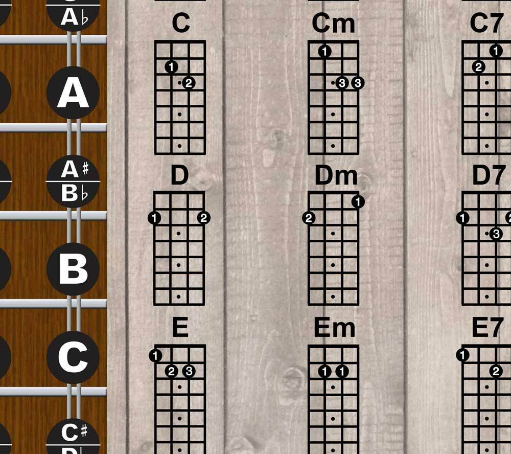 Mandolin Chord Fretboard Instructional Wall Chart Poster Notes Beginner