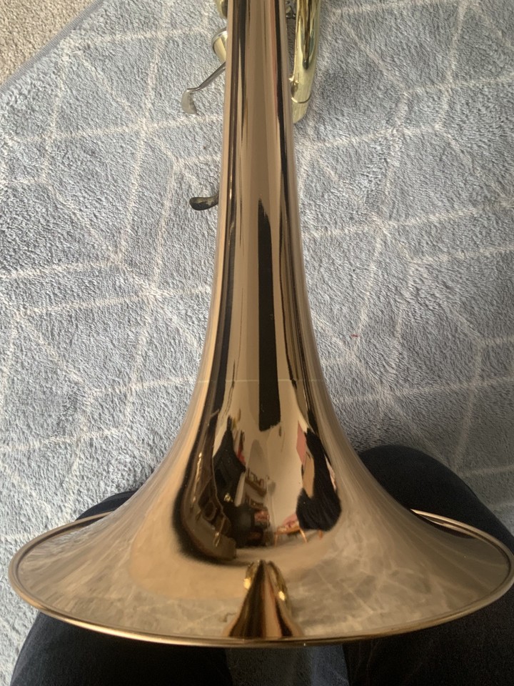 Edwards 454 Bass Trombone | eBay UK