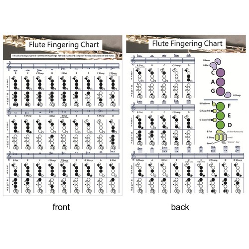For Flute Beginner Student Standard Notes Parts Chord Chart Fingering ...