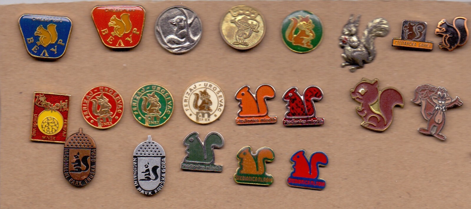 pin pins badge anstecknadel SQUIRREL SQUIRRELS | eBay