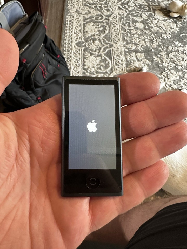 Apple 16GB iPod Nano 7th Generation Space Gray Model A1446 W/ Over ...