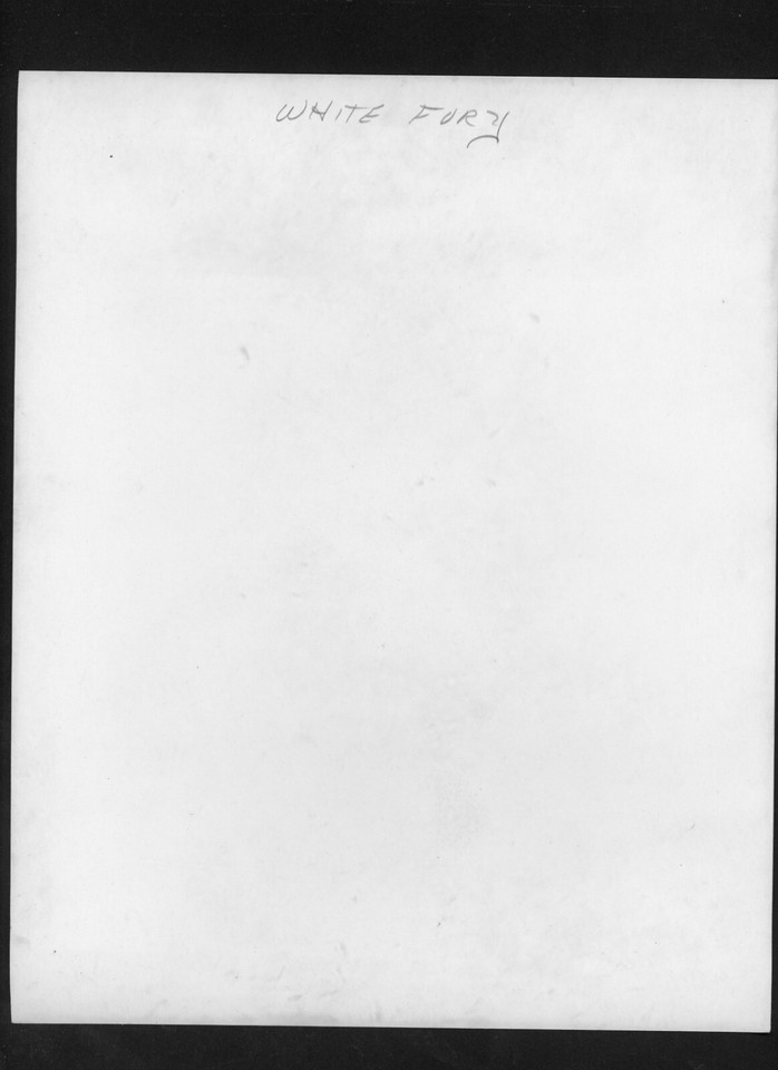 Original 1950s WHITE FURY Cheesecake Hollywood 8x10 Burlesque Pin Up ...