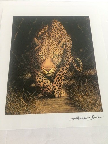 Andrew Bone African Mystique Seriolithograph signed in the plate ...