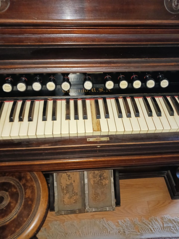 Late 1800's -Early 1900's Antique Hamilton Working Pump organ | eBay