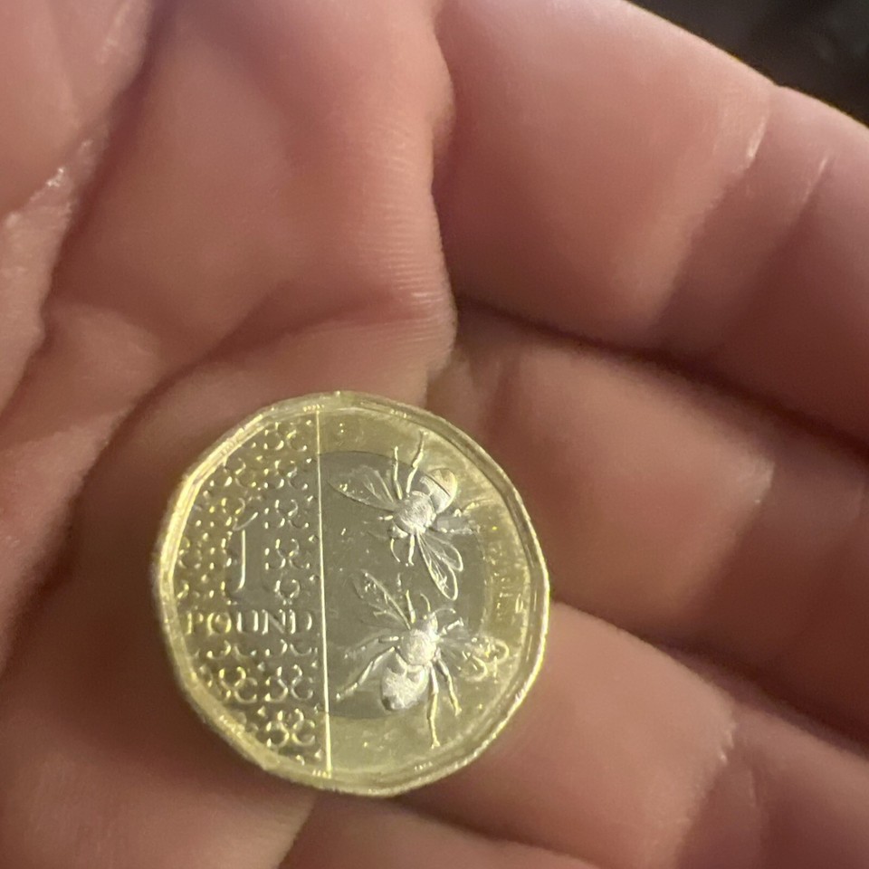 New King Charles III Bees £1 One Pound BU Coin Brilliant Rare | eBay UK