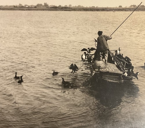 Soo Chow China Fisherman Trained Cormorant Fishing Grand Canal Keystone ...