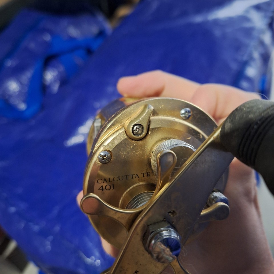 Shimano Calcutta TE 401 Total Efficiency Casting Baitcast Reel - Left ...