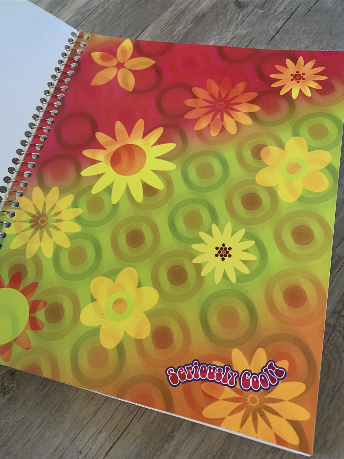 Mead Disney Lizzie McGuire Notebook Hilary Duff Nostalgic Gift | eBay