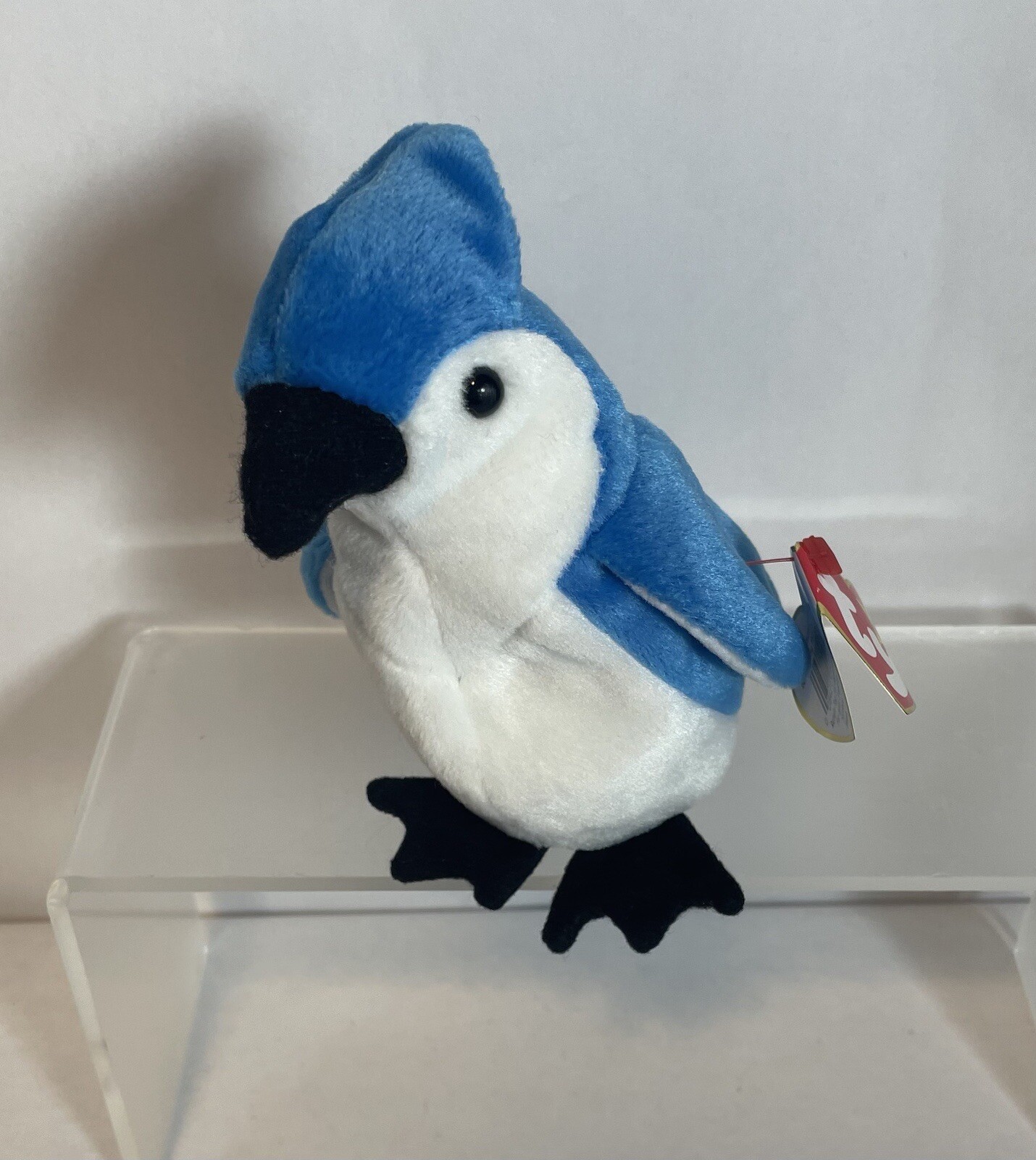 TY Beanie Baby Rocket the Blue Jay Plush Vintage 1998 Bird With Tags | eBay