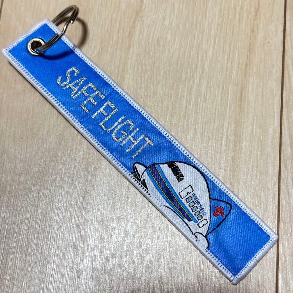 China Southern Airlines CHINA SOUTHERN Pilot Flight Tag | eBay