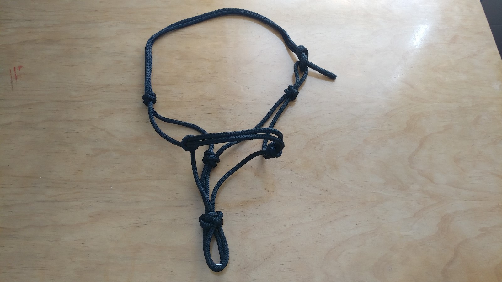 1/4" SOFT ROPE ARAB (SMALL HORSE) SIZE TRAINING HALTER FITS PARELLI ...