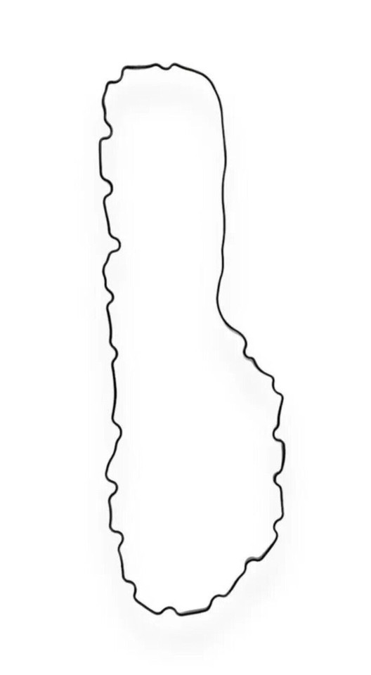 Oil Cooler Cover Seal for Volvo D13 Engine 20979871 20536620 | eBay