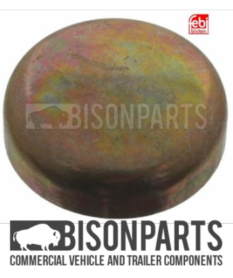*FITS DAF CF65 CF75 CF85 XF95 LF45 LF55 XF105 FEBI ENGINE CORE PLUG ...