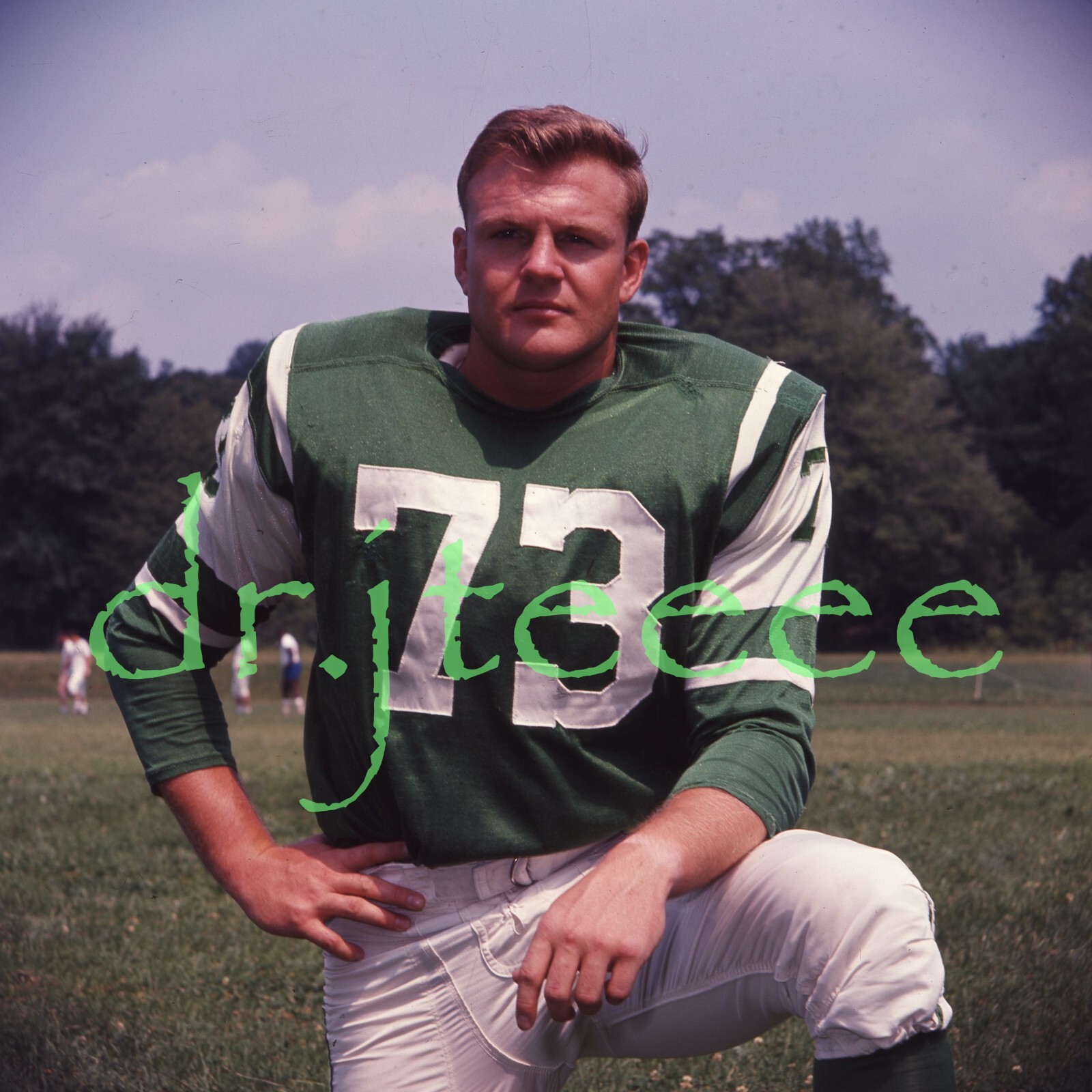 Raymond Hayes NEW YORK JETS - 120mm Football Transparency | eBay