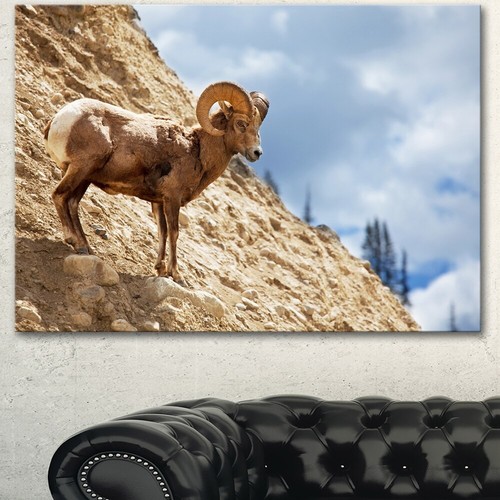 Designart "Single Goat on Rocky Mountain" Extra Large Animal Mini | eBay