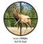 WHITETAIL DEER Wall Clock. Buck Rub hunting lodge, cabin, deer camp ...