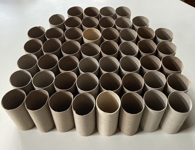 50 Empty Toilet Paper Rolls Tubes Cardboard Crafts Art Supplies ...