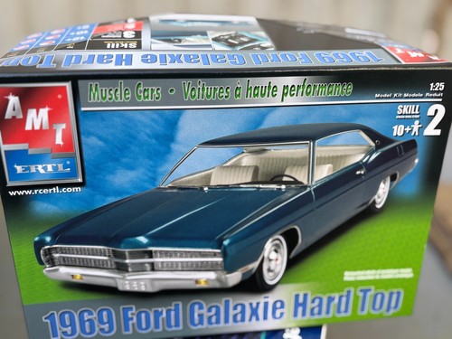 AMT # 38154 1/25th SCALE 1969 FORD GALAXIE MODEL KIT | eBay