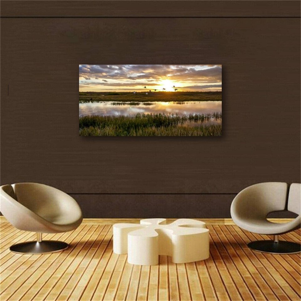 Large Canvas Wall Art birds in the sunset swamp cypress tree swamp ...