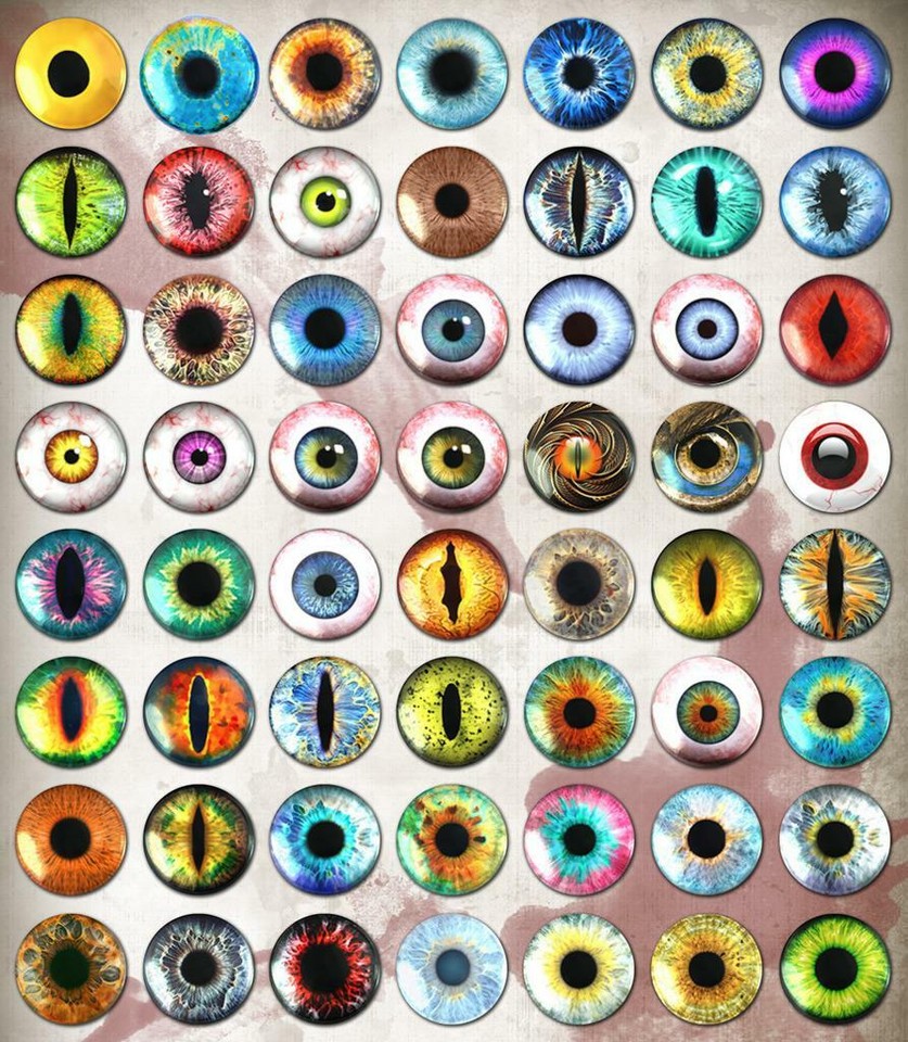 18mm Glass Snake Eyes Realistic Taxidermy Craft Eyeballs | eBay