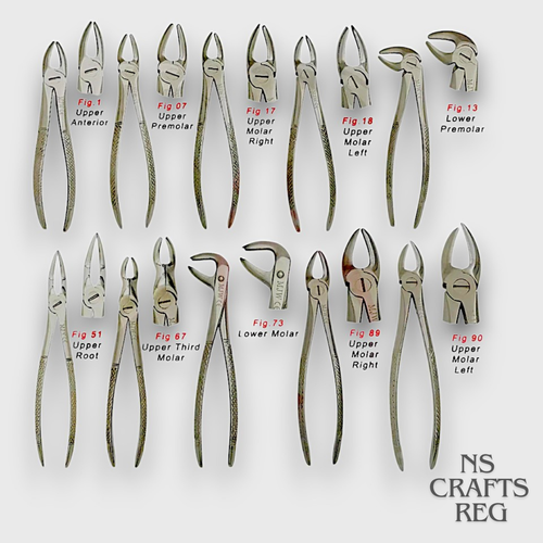 Pro Dental Extraction Forceps Set for Upper & Lower Molars Oral Surgery ...
