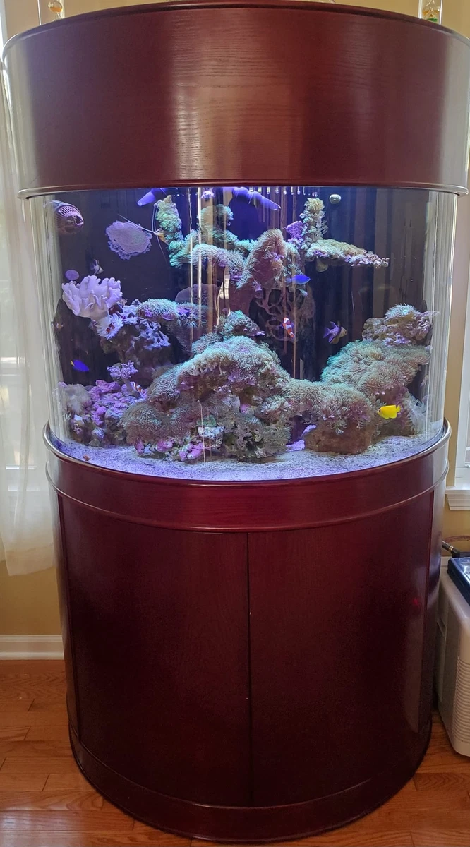 100 Gallon Fish Tank