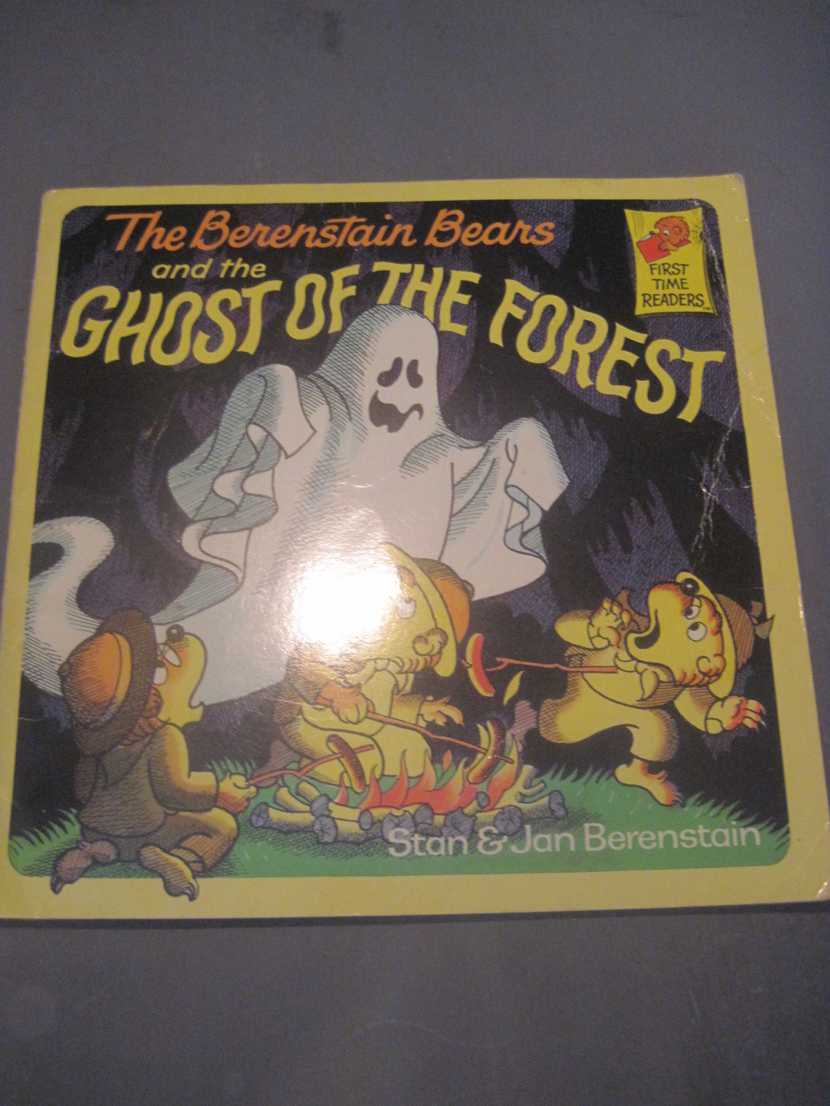 FIRST TIME READER BOOK THE BERENSTAIN BEARS & GHOST OF THE FOREST | eBay