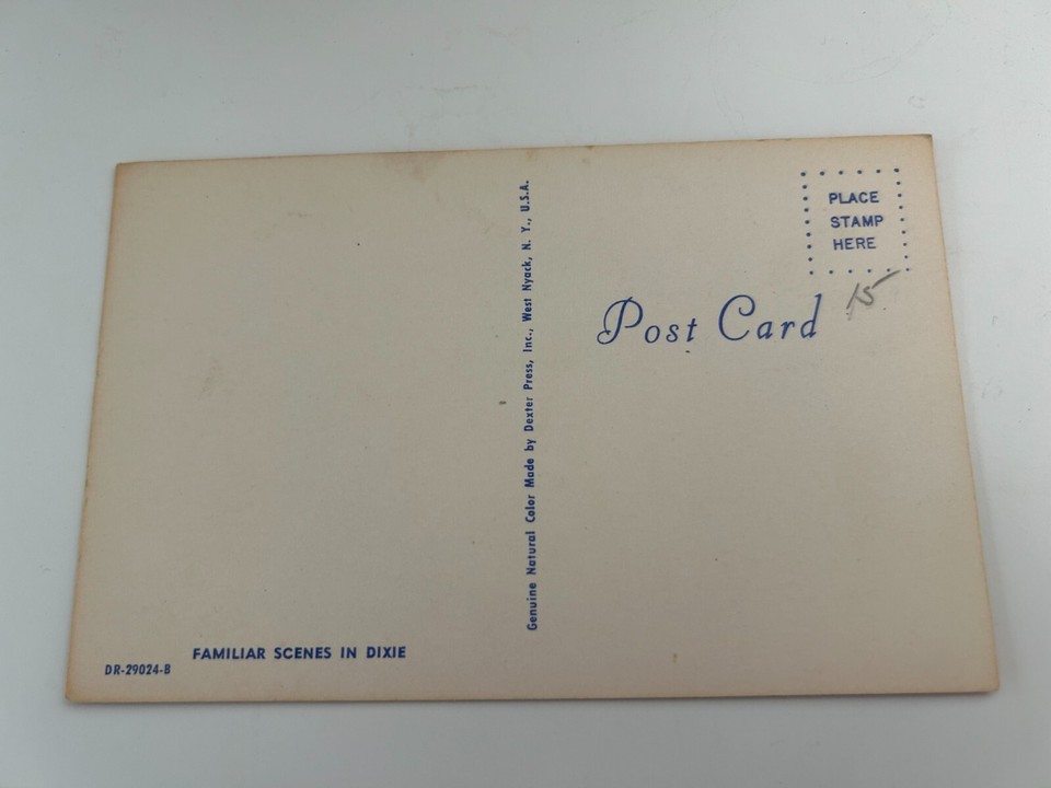Large Letter Greetings from Dixie Vintage Postcard | eBay