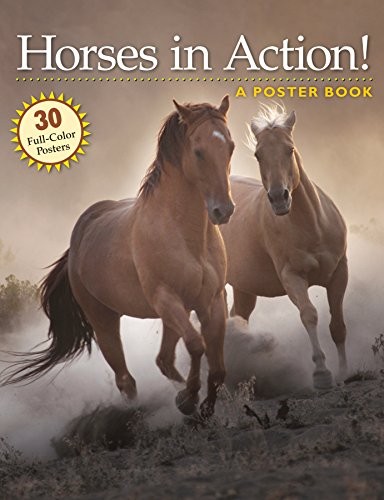 HORSES IN ACTION!: A POSTER BOOK (POSTER BOOKS) By Editors Of Storey ...