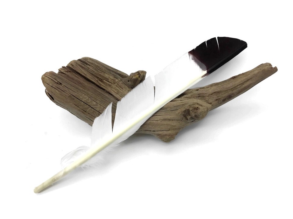 1/4 Lb - Brown Tipped Turkey Pointers Imitation Eagle Wing Wholesale ...