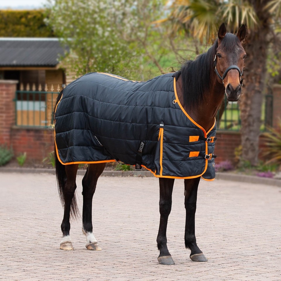 100G Stable Horse Rug, Gallop Trojan Indoor Rug Standard Neck in Black ...