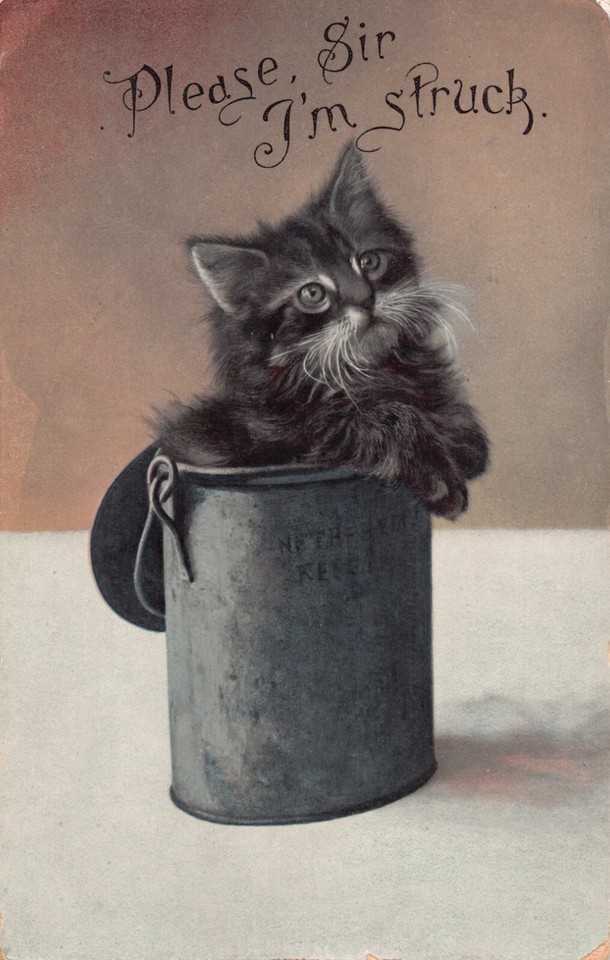 FAMILY HISTORY - GENEALOGY - POSTCARD - BAKER - WESTCLIFF ON SEA ...