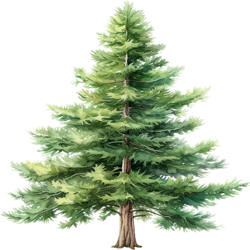 30 Custom Simple Pine Tree Personalized Address Labels | eBay