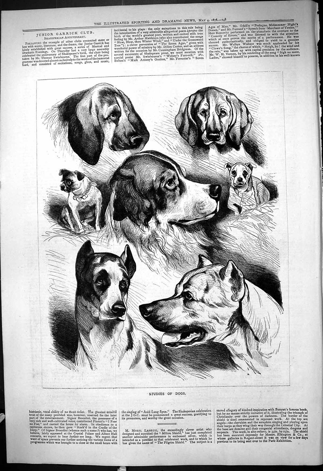 Original Old Antique Print 1878 Studies Dogs Pets Animals Hunting ...