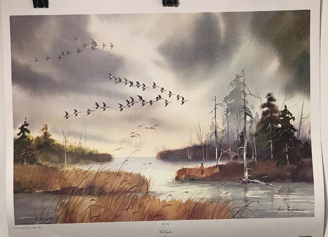 Paintings By Jane Carlson