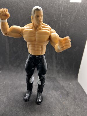 WWE Jakks Pacific Triple H Hunter Hearst Helmsley Wrestling Action ...