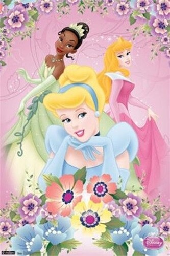Cinderella Flowers Disney | Best Flower Site