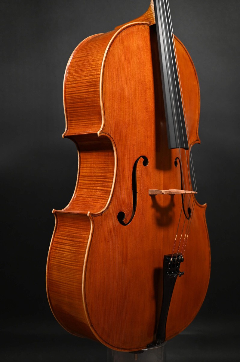 Cello Front View 5th Position Hand Shape And Higher Advanced Cello