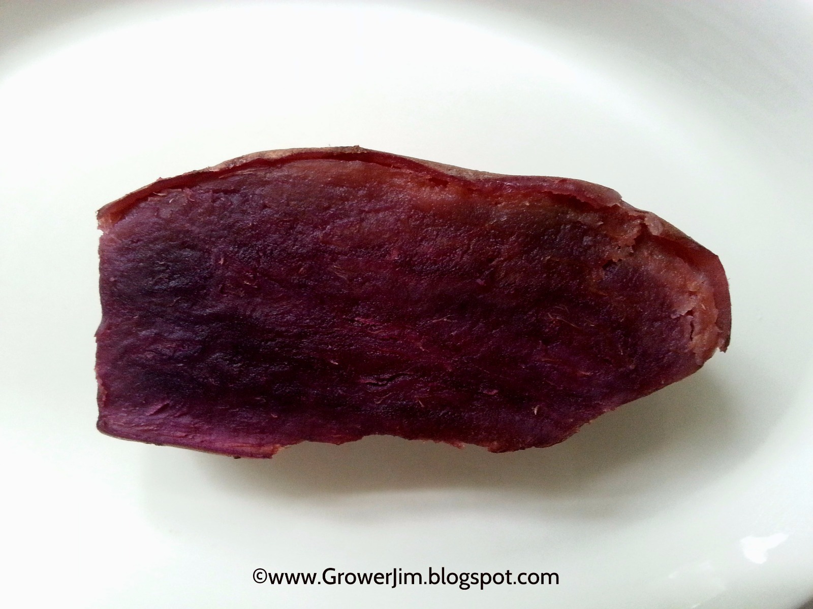 Purple Molokai Sweet Potato - 5 tip cuttings/slips | eBay